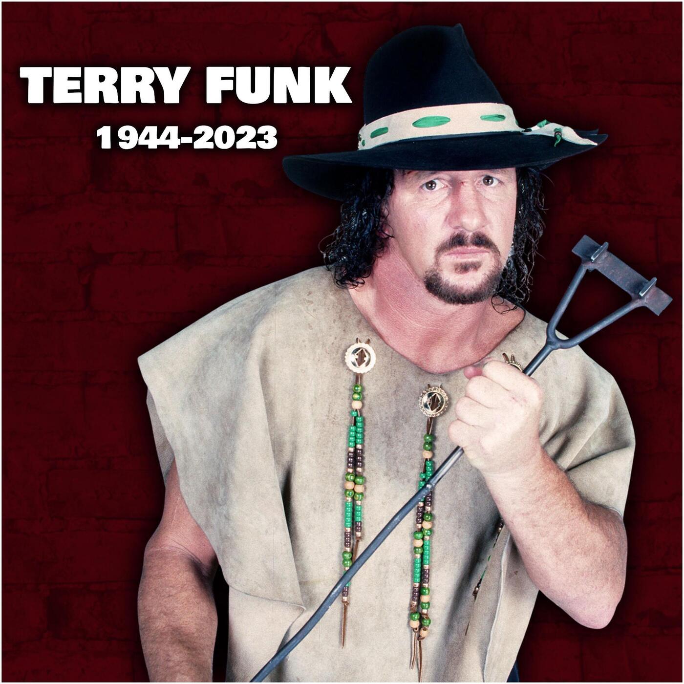 Hommage à Terry Funk - 50 ans de carrière exceptionnelle (1944 - 2023 ...