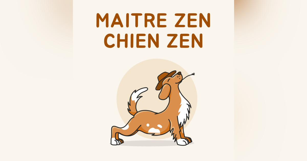 Hors-Série spécial été : passer un bon été avec son chien ! • Podcast • Maitre zen, chien zen