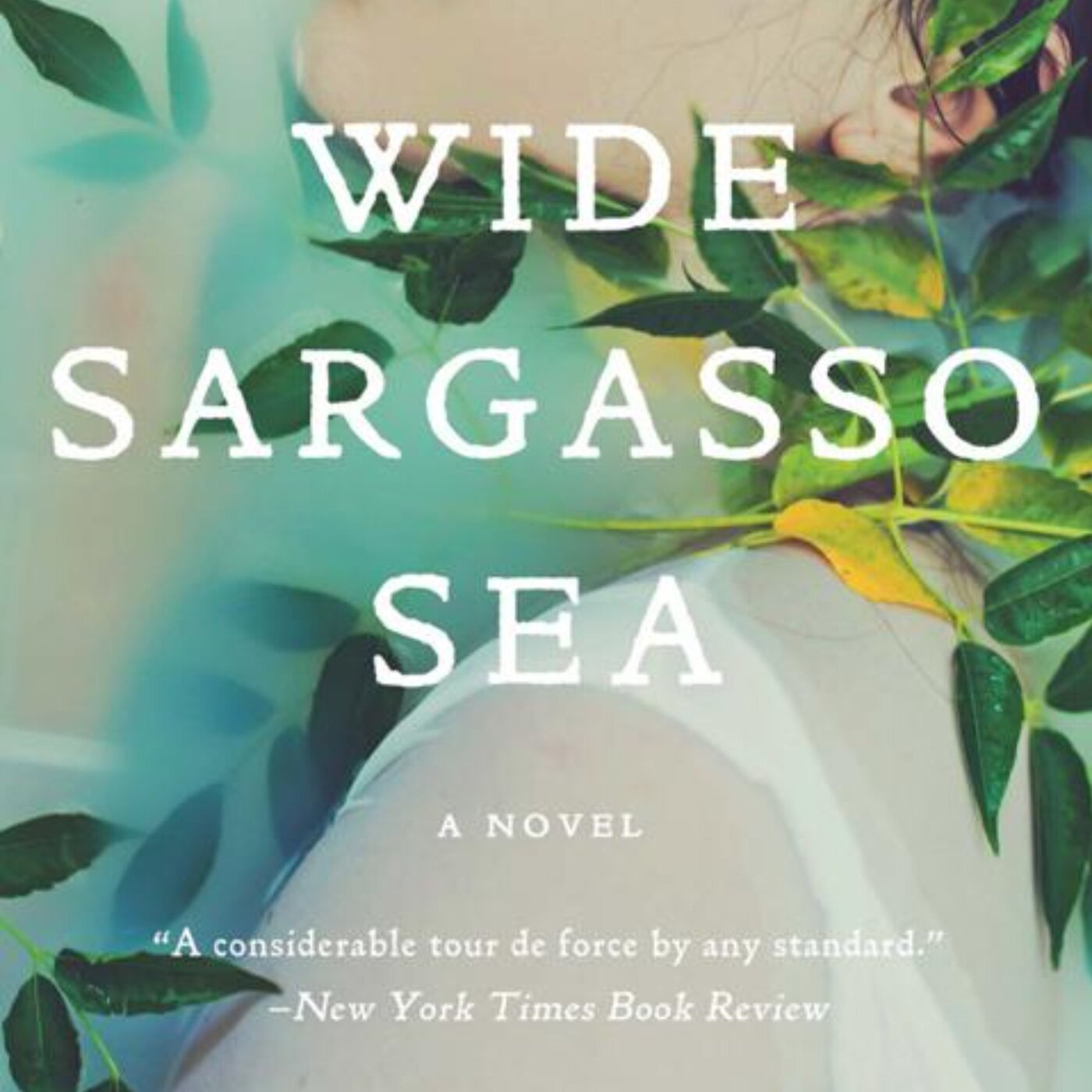 Wide Sargasso Sea: An Engaging Audio Summary of Jean Rhys's Captivating ...