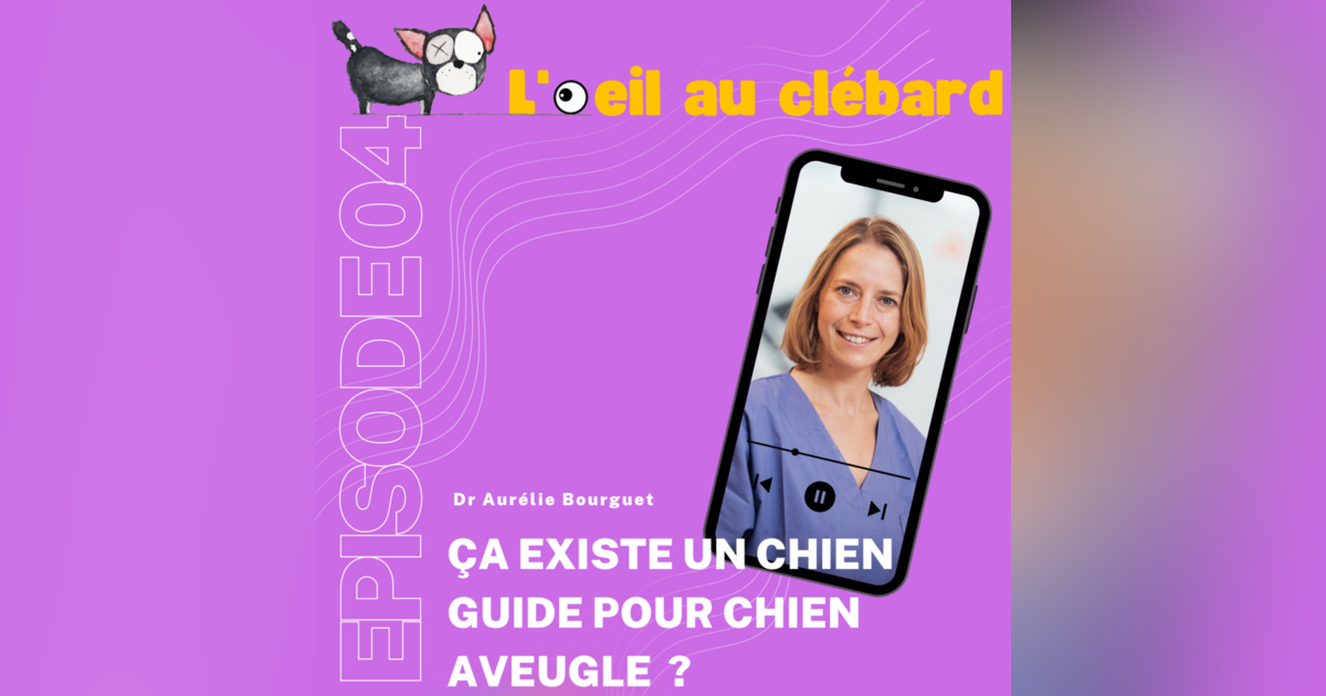 Ca existe un chien guide pour chien aveugle ? • Podcast • L'oeil au clébard