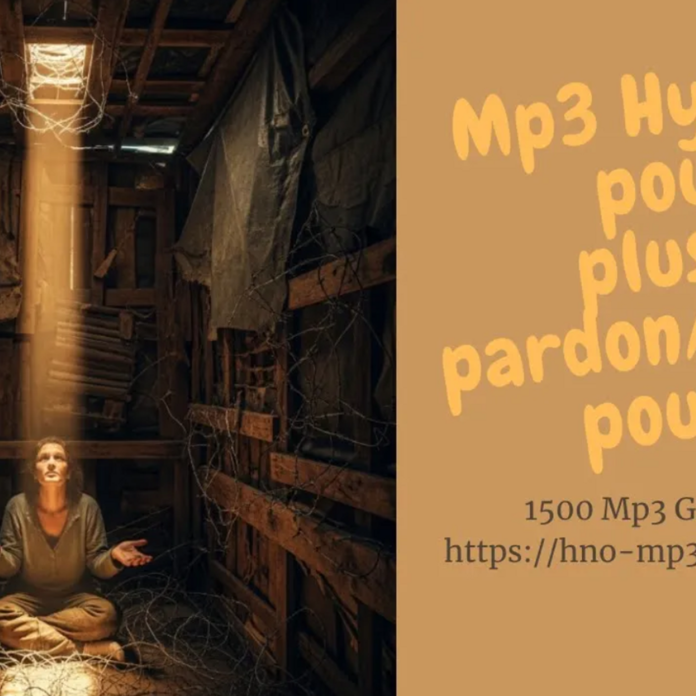 HnO Mp3 Hypnose #1065 / Thérapie des parties #35 : Vers plus de pardon/lumière pour soi (061125 ...