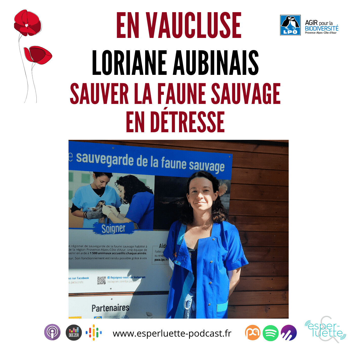 Loriane Aubinais, sauver la faune sauvage en détresse - En Vaucluse • Podcast • Esperluette ...