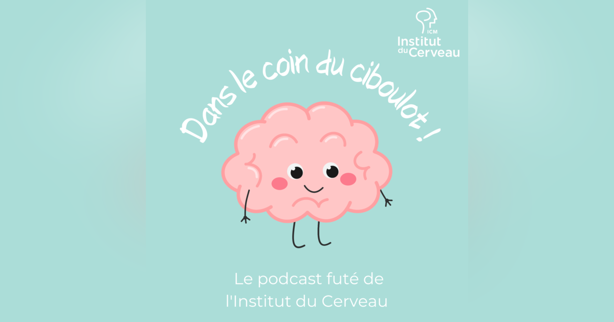 Dans le coin du ciboulot ! • Podcast • Institut du Cerveau