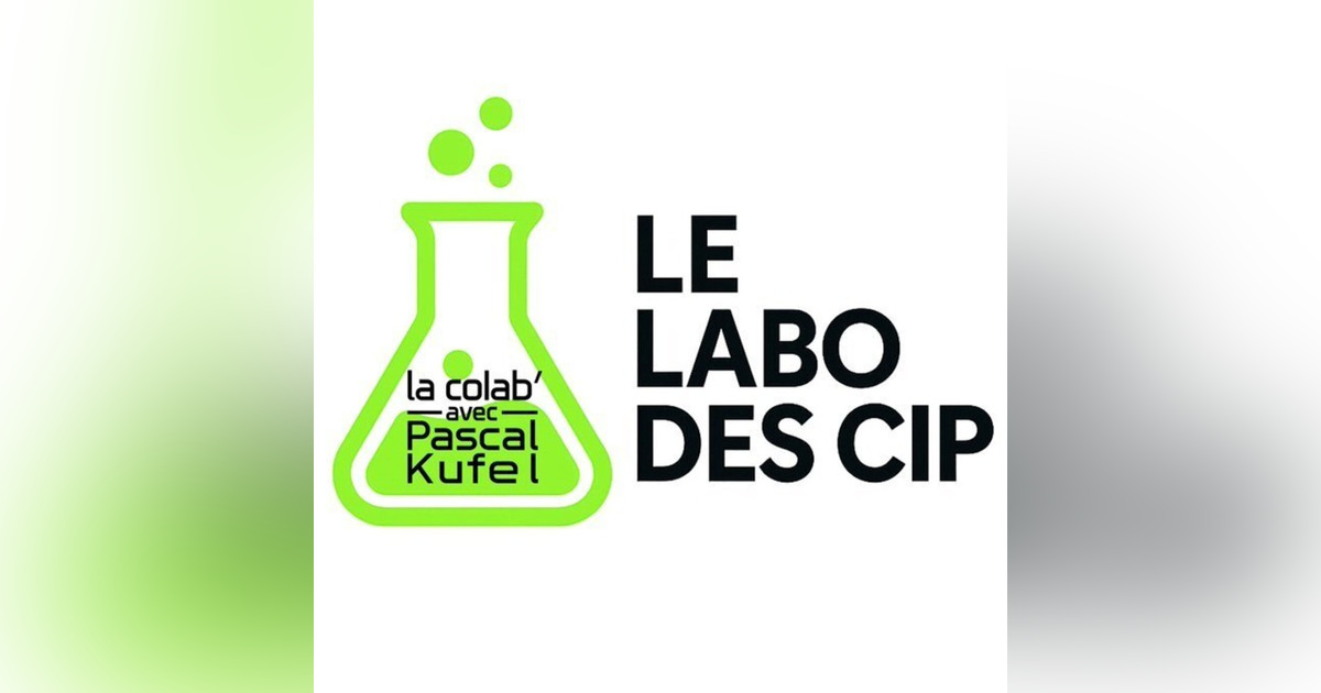 Le Labo des CIP • CIP - Conseiller en Insertion Professionnelle - Le ...