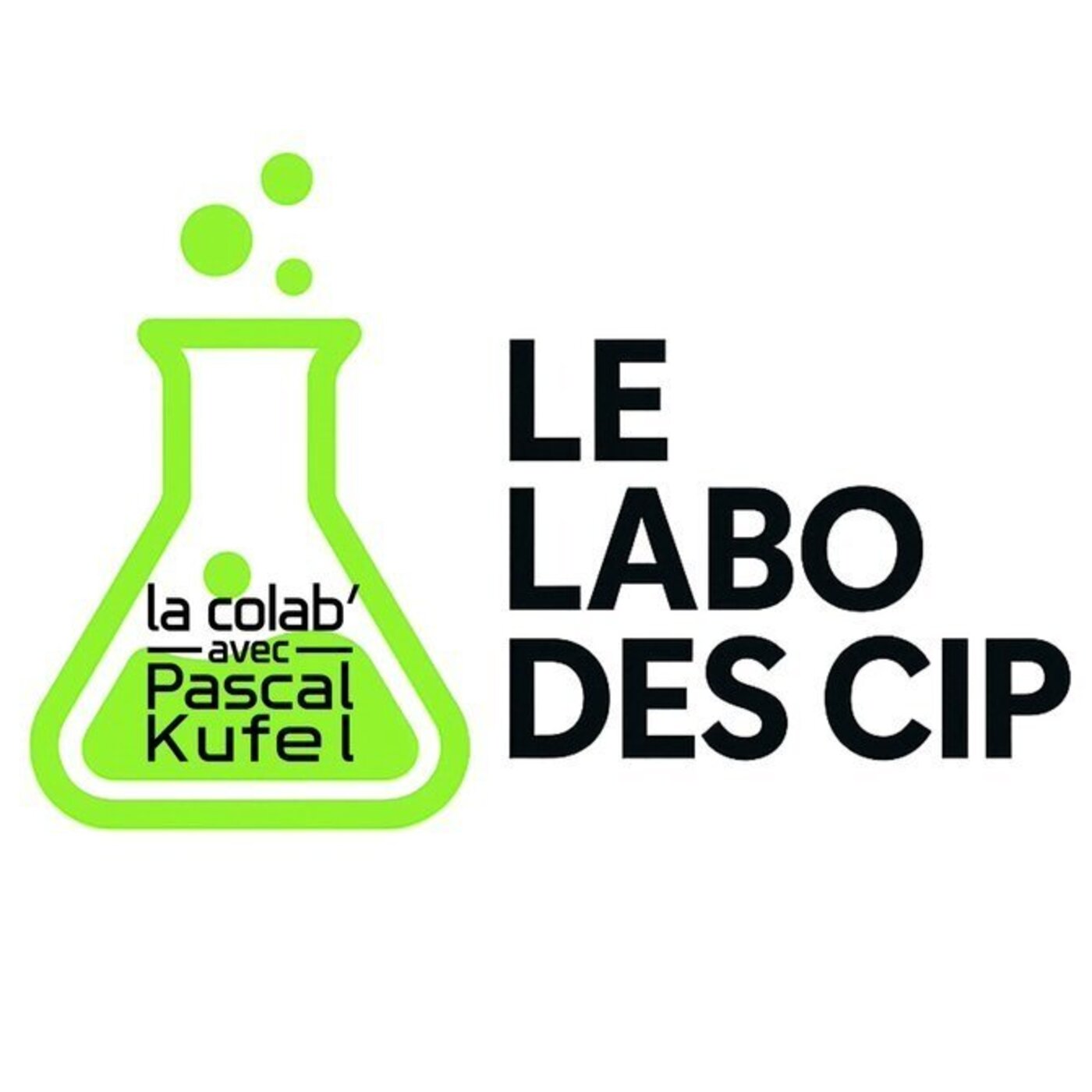 Le Labo des CIP • CIP - Conseiller en Insertion Professionnelle - Le ...